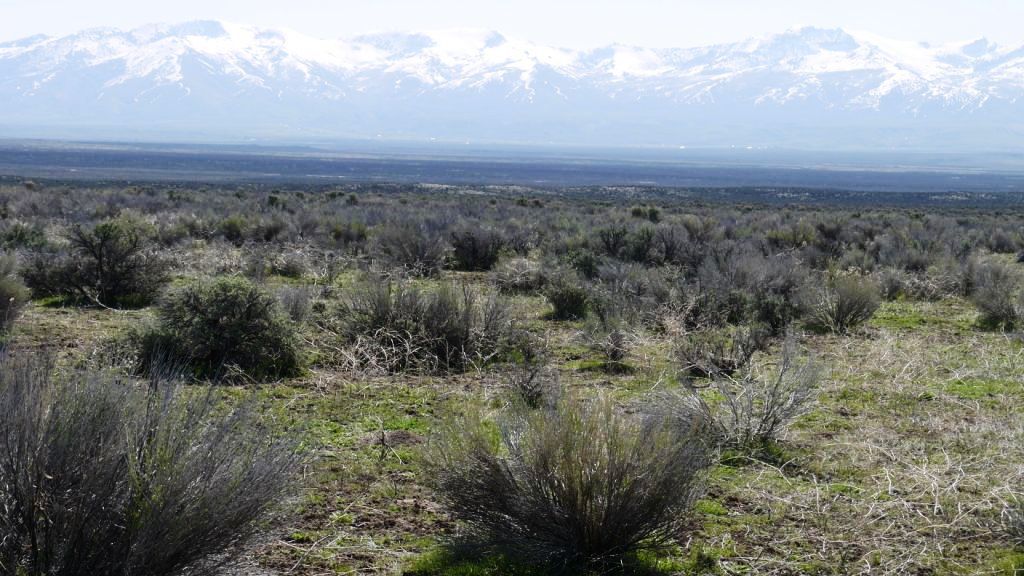 Tranquility At Its Peak - Elko County - 10 Acres | MidAmerica Land